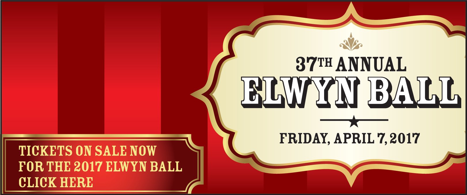 Elwyn - Engage Empower Enrich